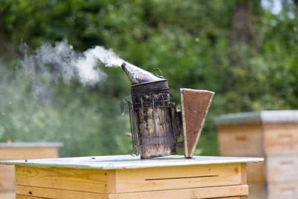 Step By Step Guide To Lighting And Maintaining A Bee Smoker – WhatBugIsThat